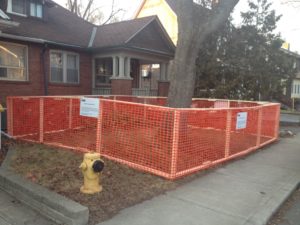 TPZ- Tree Protection - Forest Hill Forestry