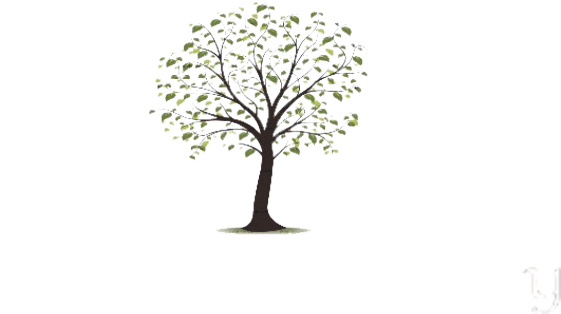 TPZ- Tree Protection - Forest Hill Forestry